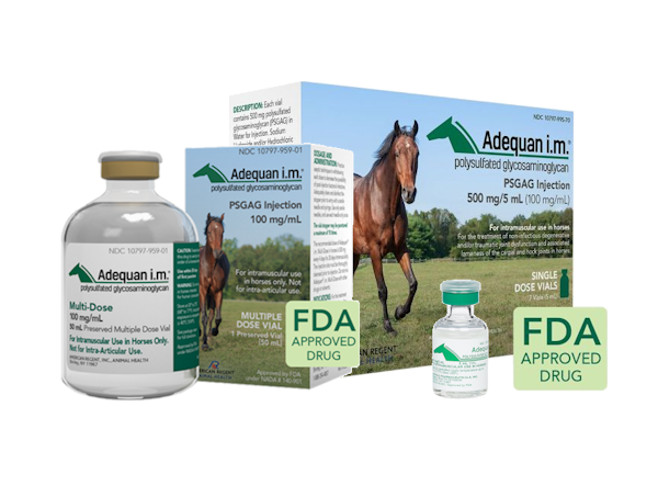 Performance Vet Supply - Your Online Source for Performance Horse Medicine