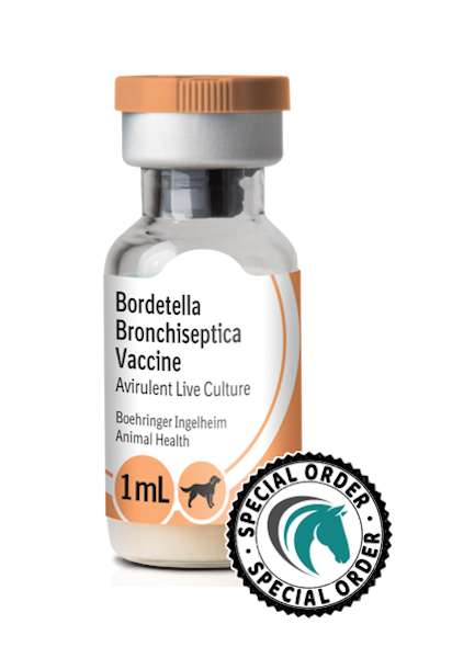 Bordetella Vaccine Canine – Performance Vet Supply