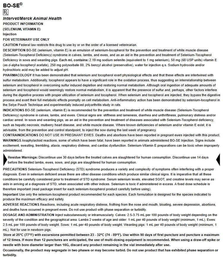 All Equine – Performance Vet Supply