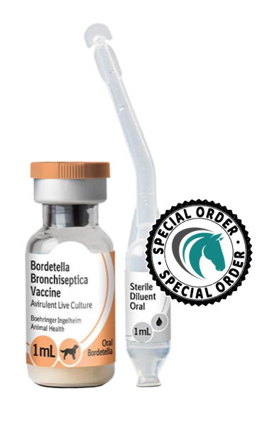 Bordetella Vaccine Canine – Performance Vet Supply