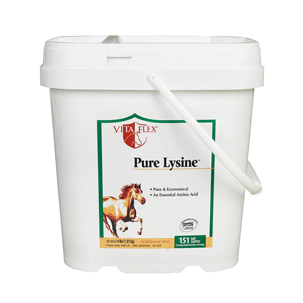 Pure Lysine – Performance Vet Supply