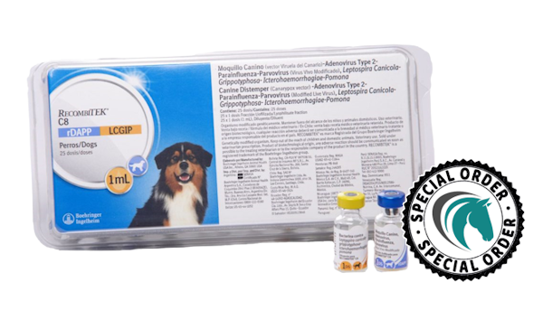 Recombitek C8 (Lepto + DAPPv) – Performance Vet Supply