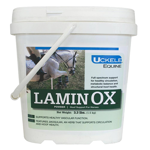 Performance Vet Supply - Your Online Source for Performance Horse Medicine